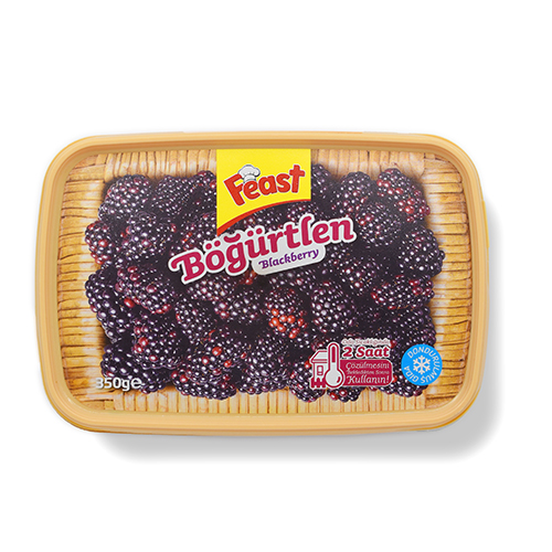 Food Fruits Feast Mixed Fruits 350gm food-fruits-feast-mixed-fruits-350gm
